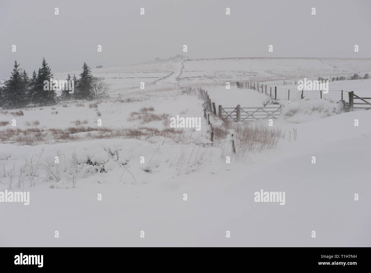 Dartmoor snow hi-res stock photography and images - Alamy