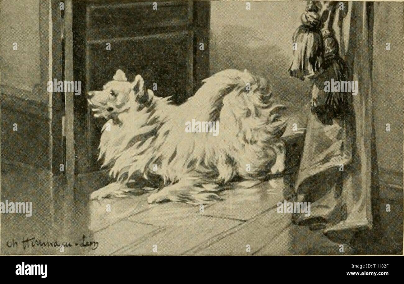 Domesticated animals, their relation to Stock Photo - Alamy