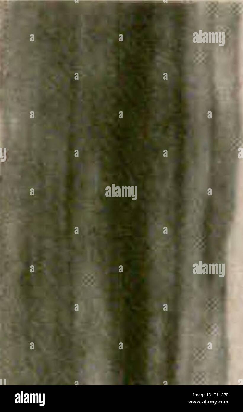 Diseases of field crops in Diseases of field crops in the Prairie ...