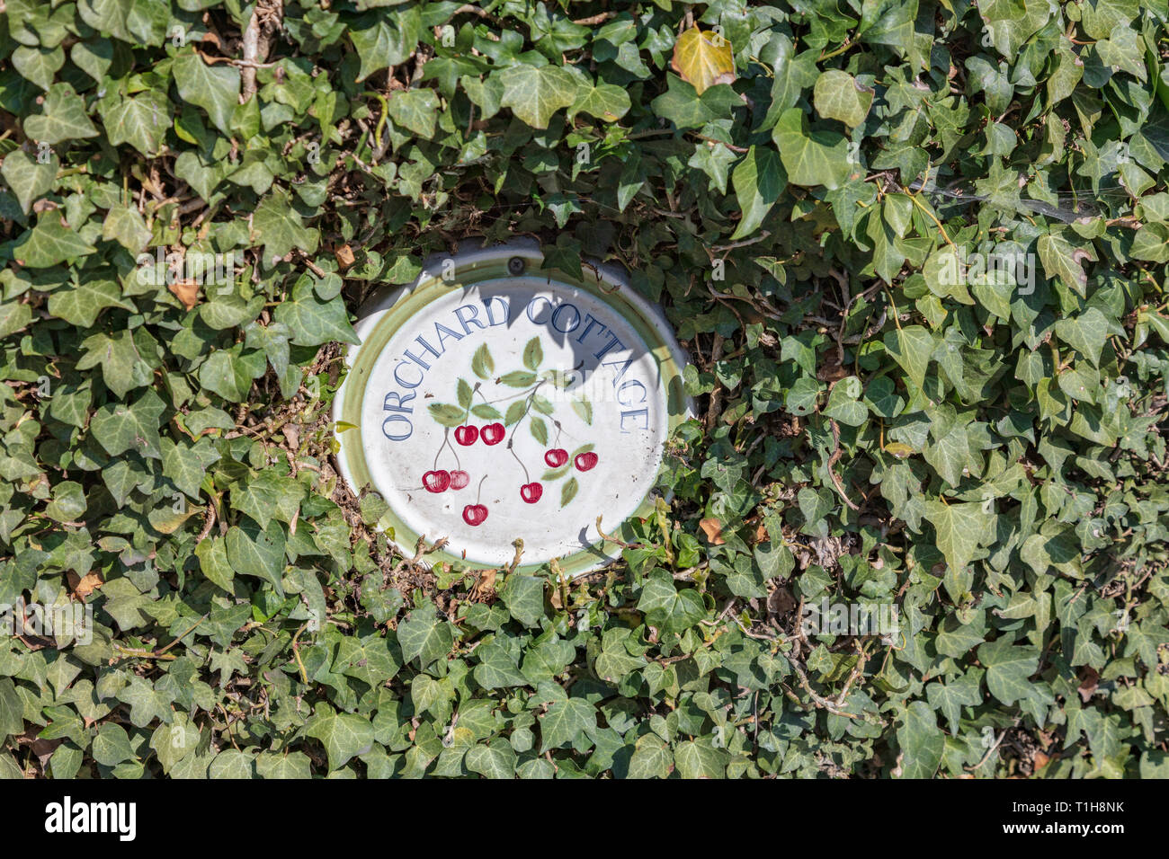 Orchard Cottage house sign surrounded by ivy in the pretty Kent village ...