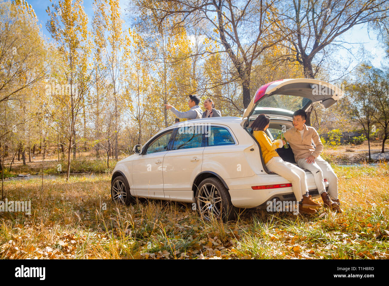 Young men and women in the outdoor outing Stock Photo - Alamy