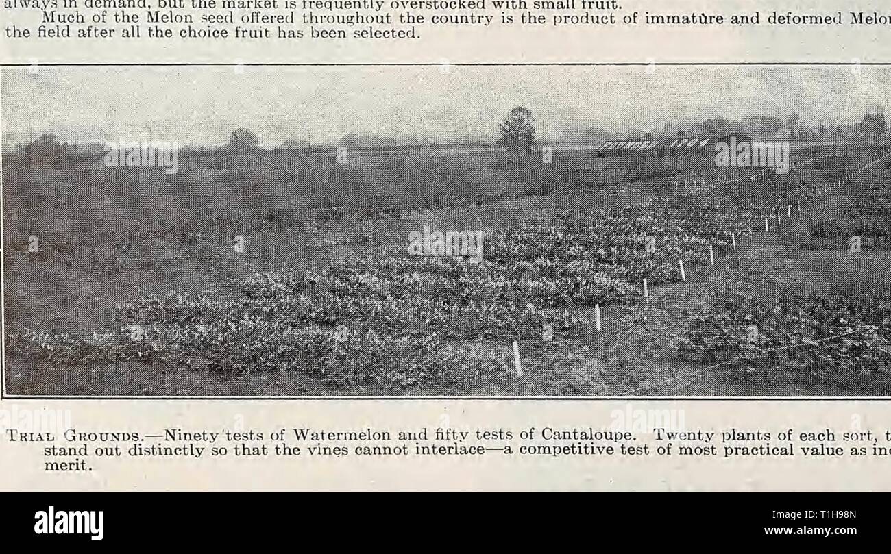 Landreth seed hi-res stock photography and images - Alamy