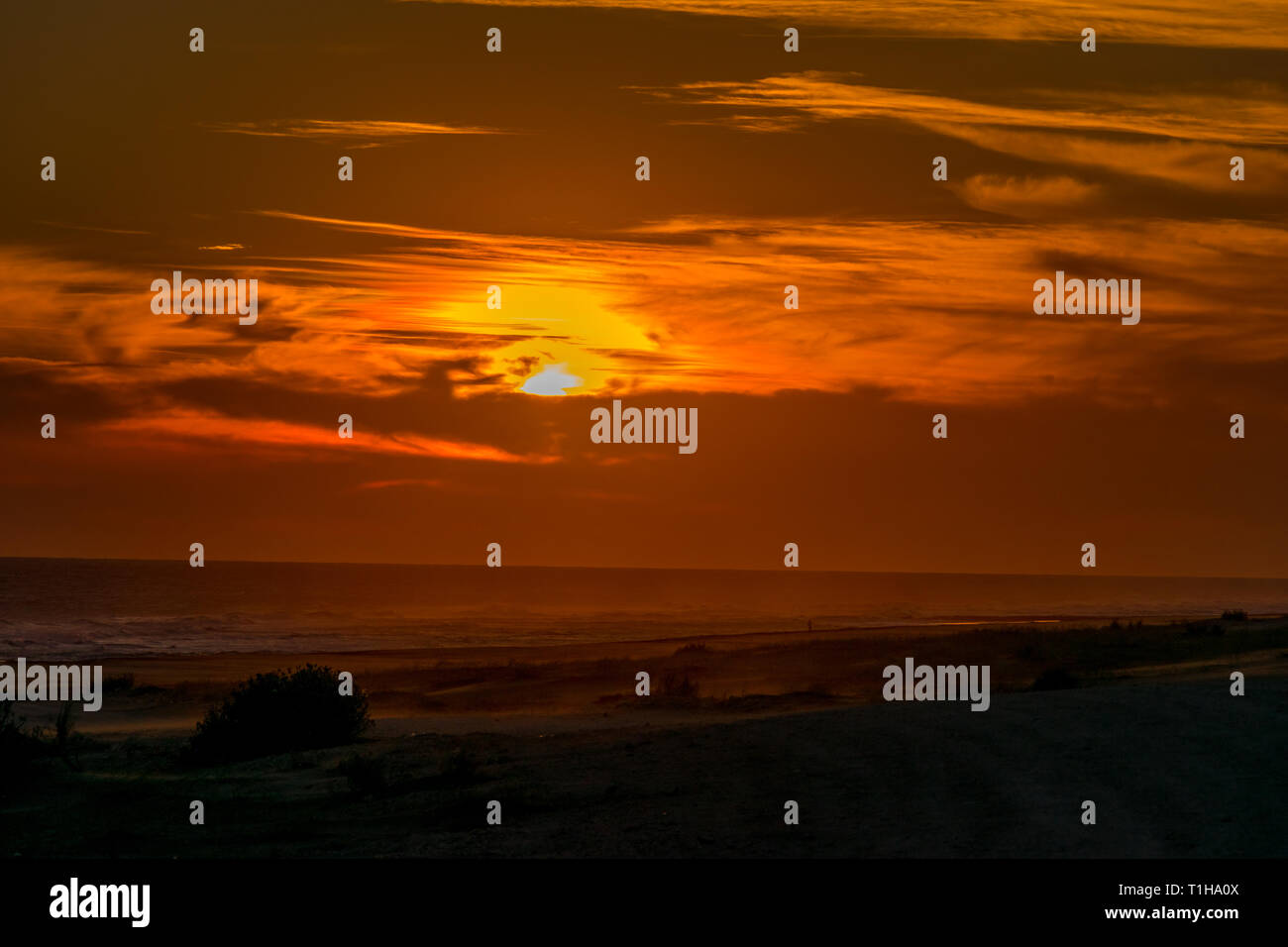 Golden sunset on the beach with the sun over the beach Stock Photo - Alamy