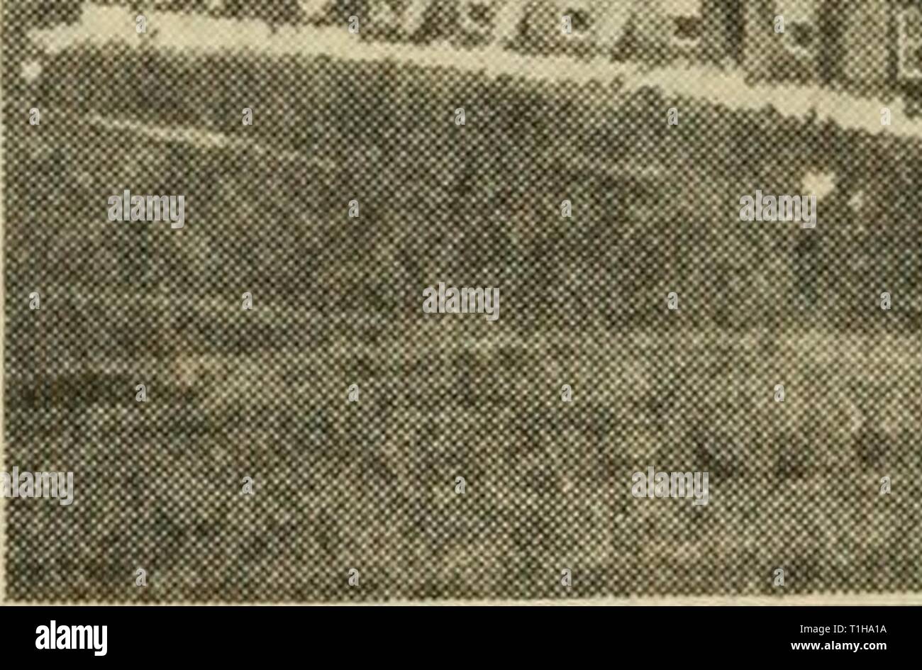 Dollars and sense in the Stock Photo - Alamy