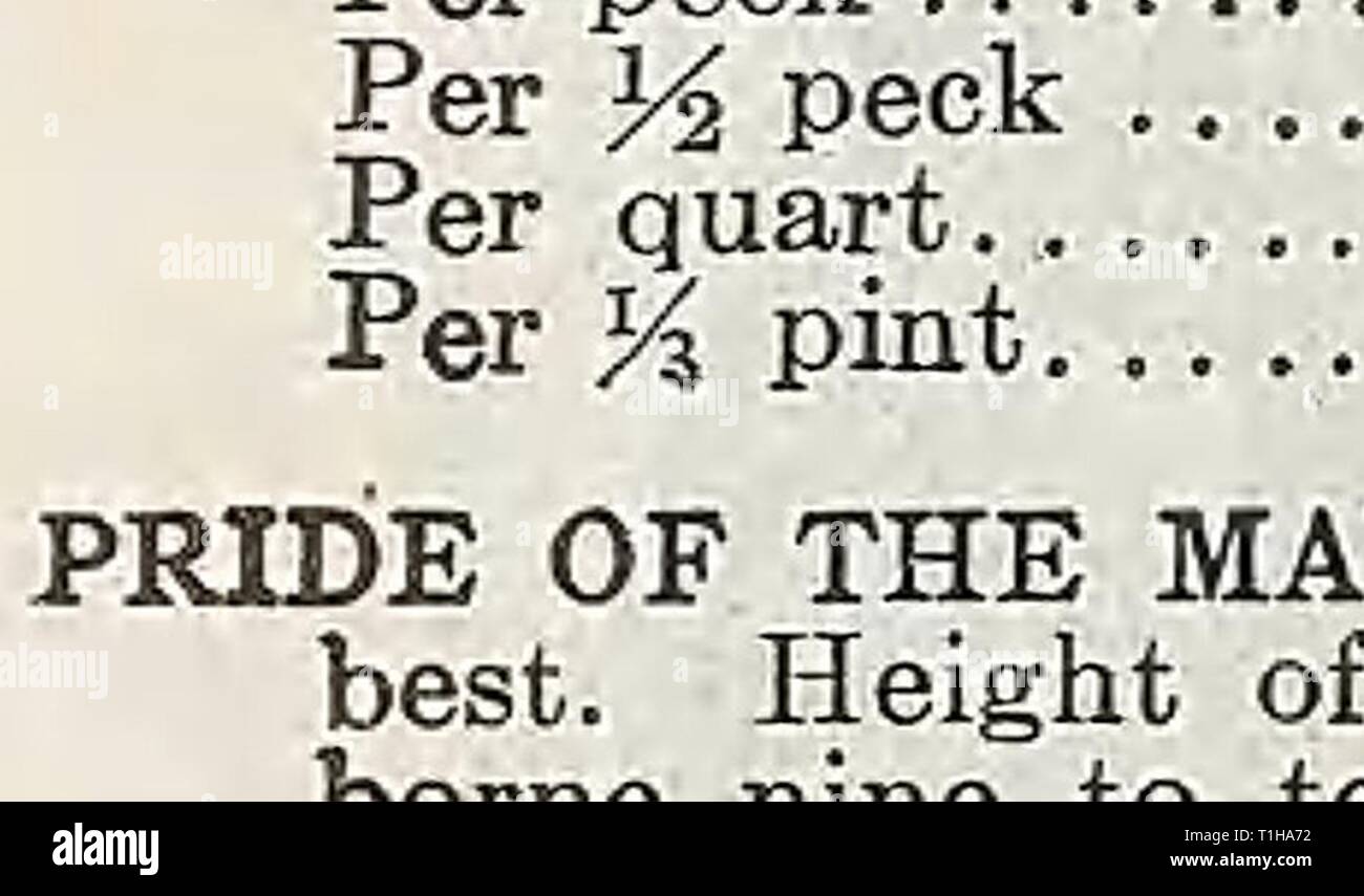 Landreth seed hi-res stock photography and images - Alamy