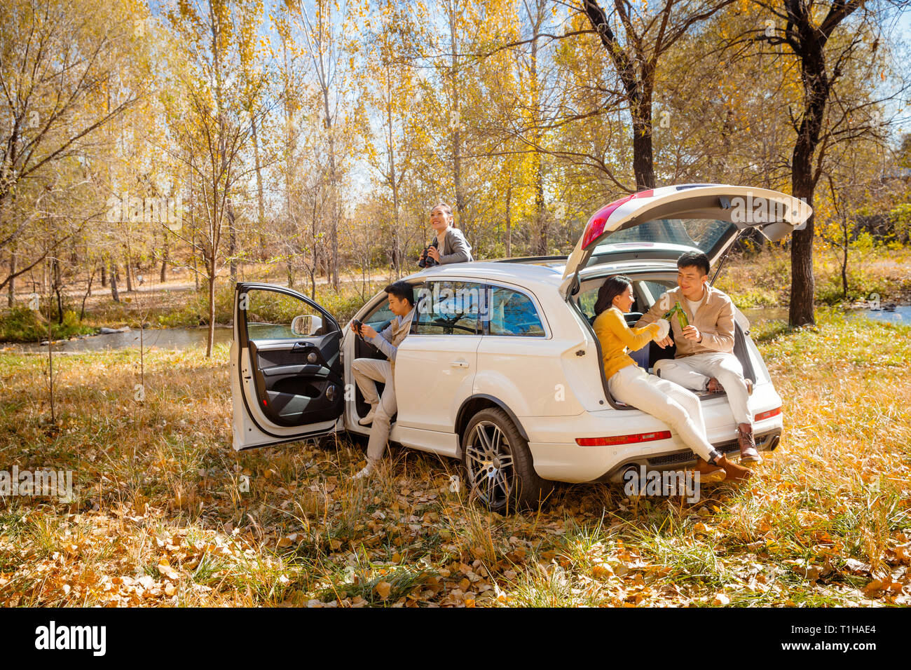 Young men and women in the outdoor outing Stock Photo - Alamy