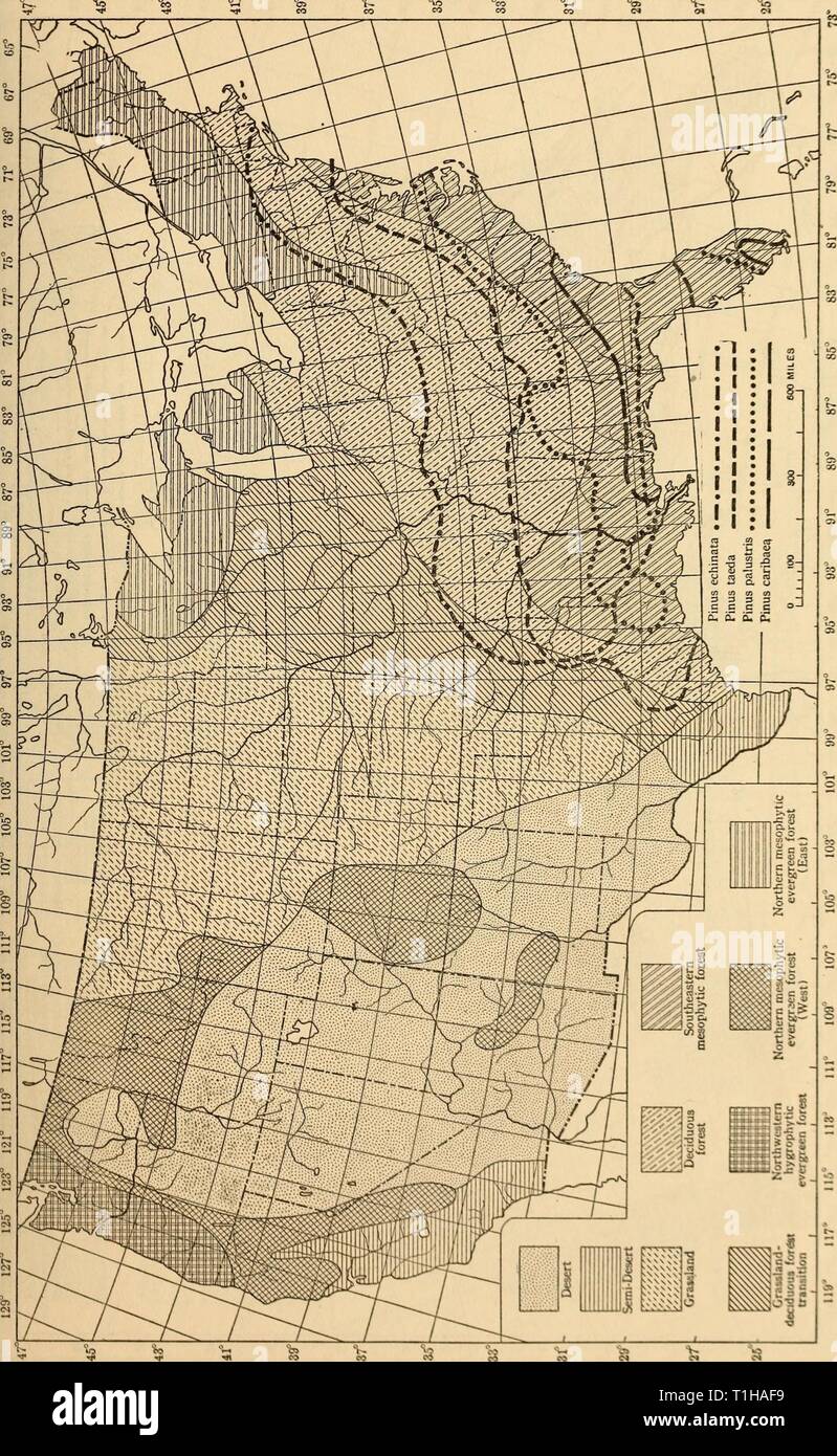 The distribution of vegetation in Stock Photo - Alamy