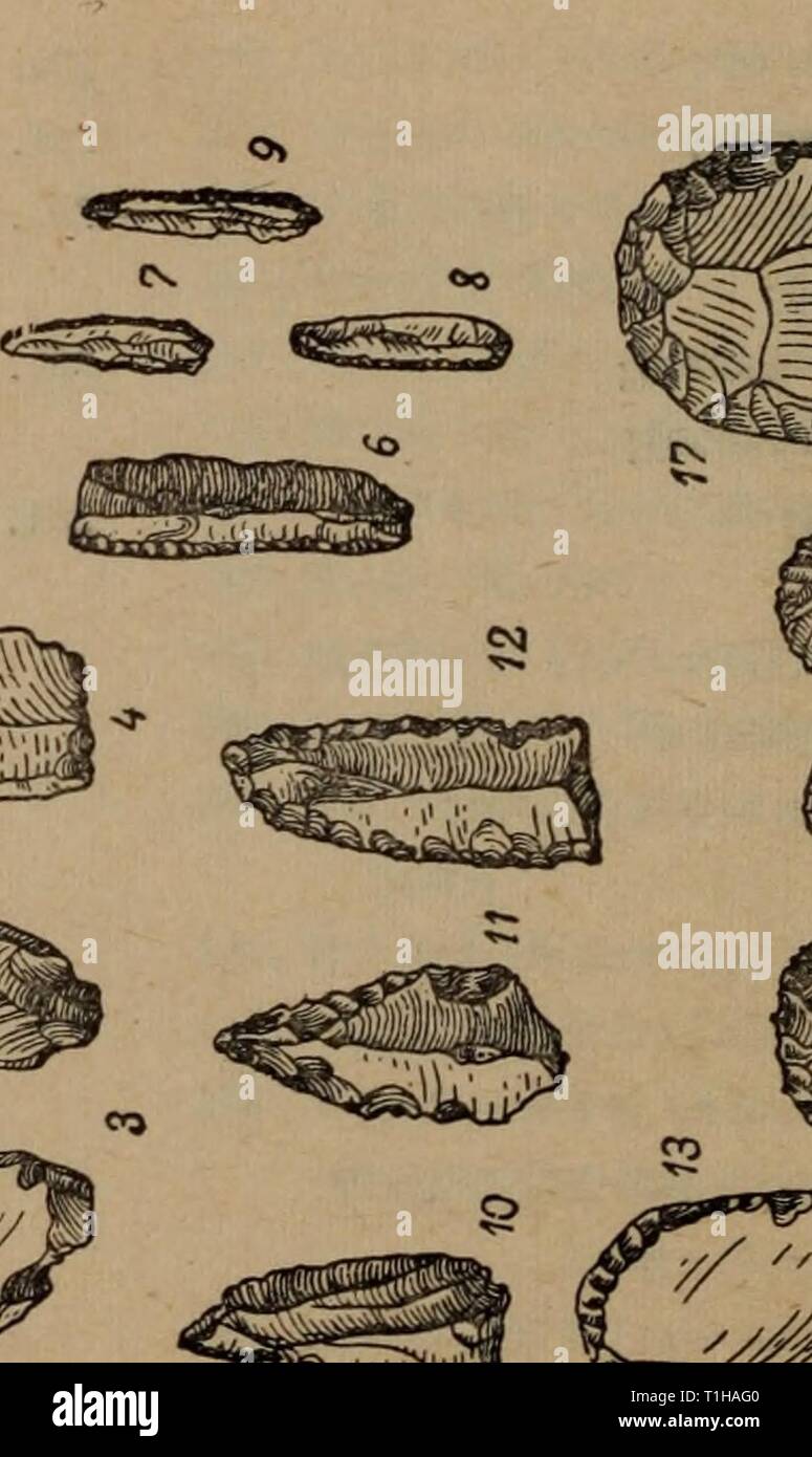 di si ji dong zhi Stock Photo - Alamy