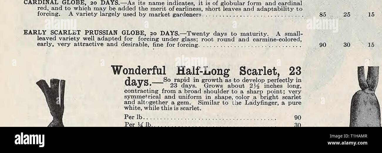 Landreth seed hi-res stock photography and images - Alamy