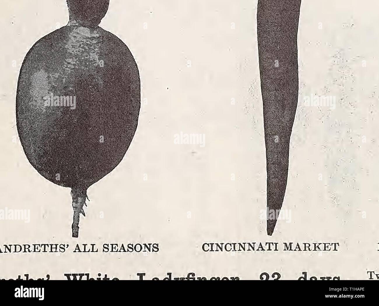 Landreth hi-res stock photography and images - Alamy