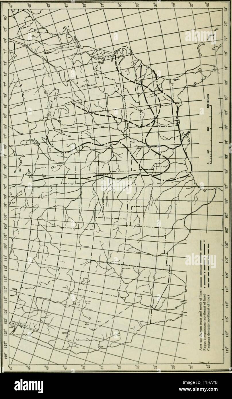 The distribution of vegetation in Stock Photo - Alamy