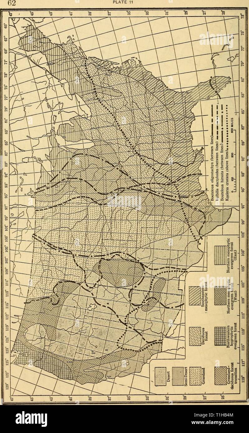 The distribution of vegetation in Stock Photo - Alamy