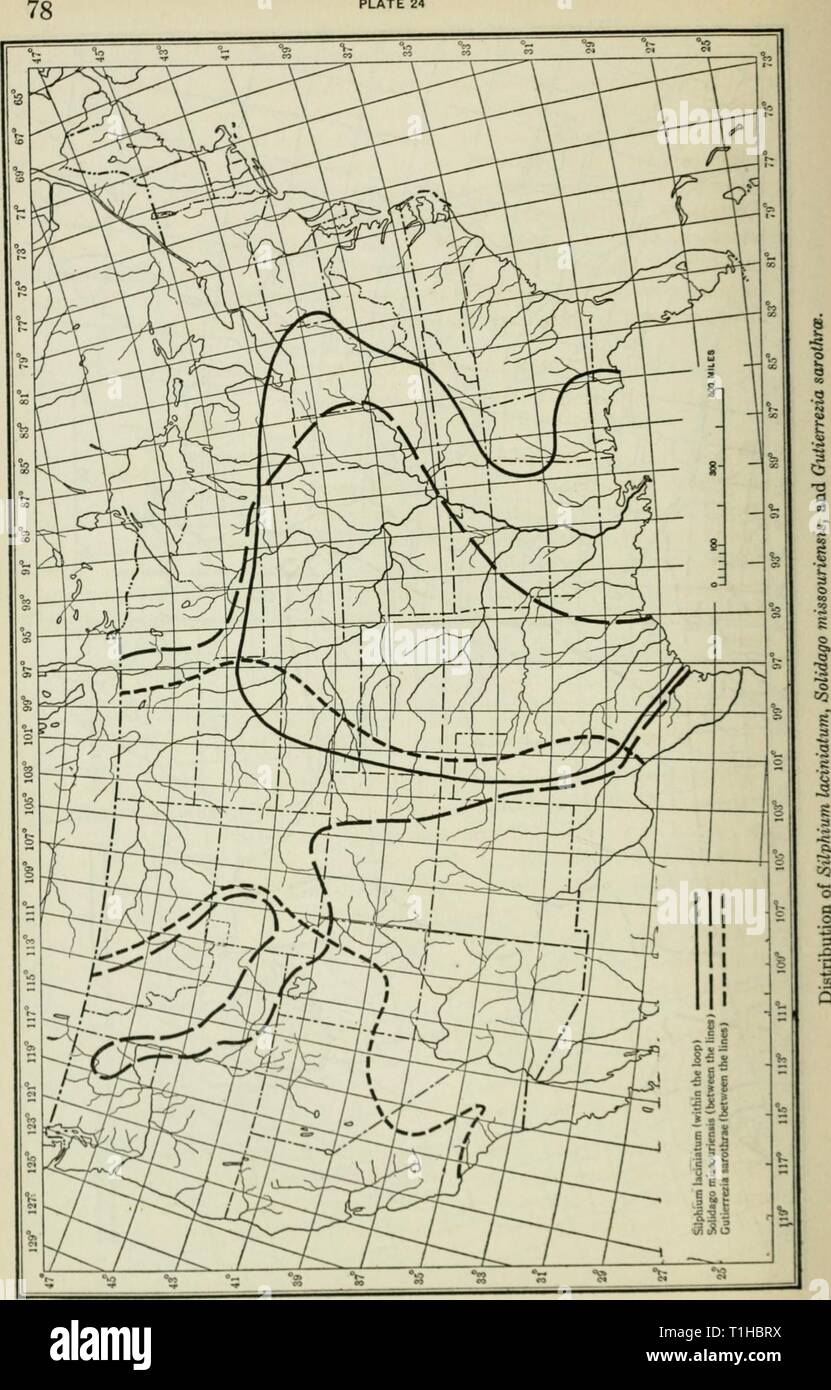 The distribution of vegetation in Stock Photo - Alamy