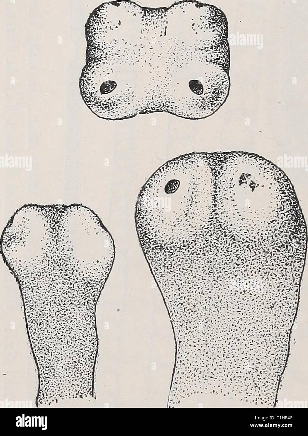 Recumbent position hi-res stock photography and images - Alamy
