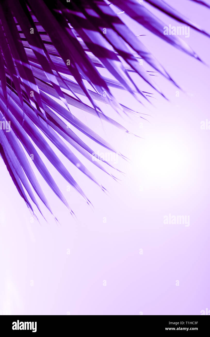 Proton purple color hi-res stock photography and images - Alamy