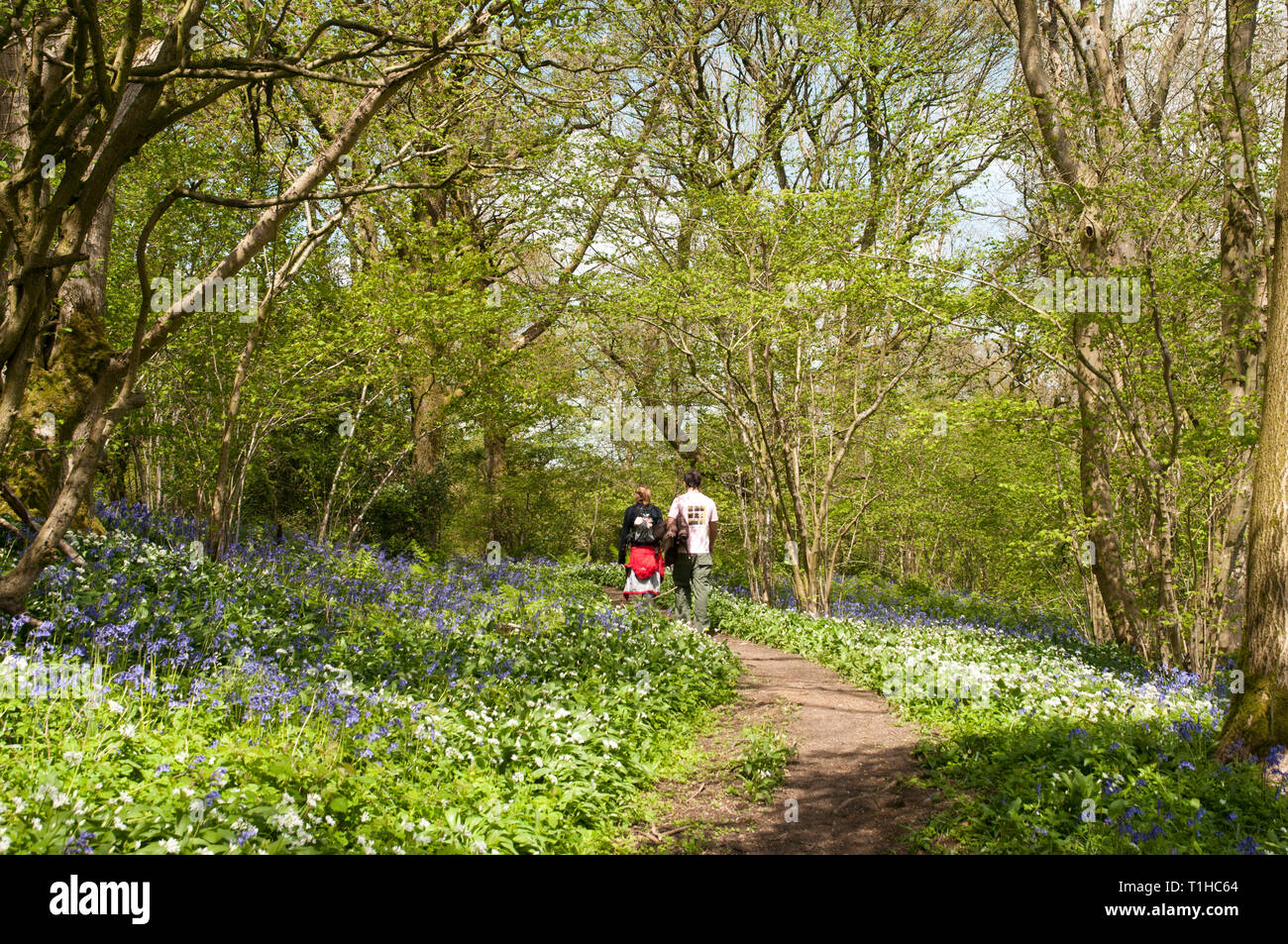Ramblers relaxing hi-res stock photography and images - Alamy
