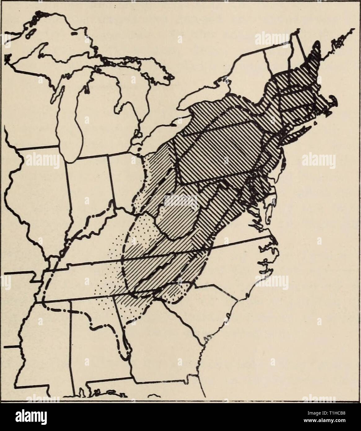 Chestnut blight hi-res stock photography and images - Alamy