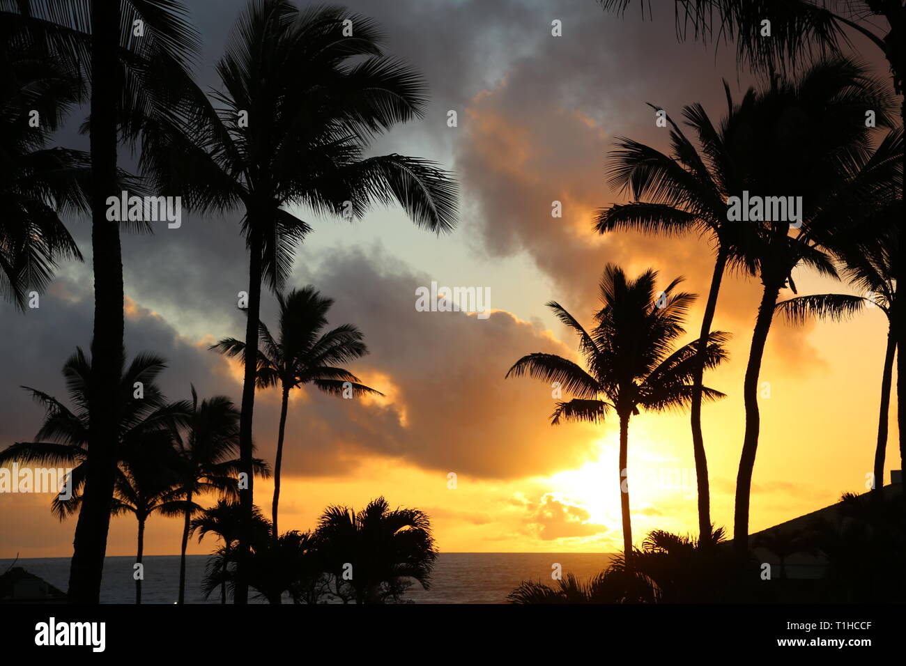 Hawaiian Sunrise Pictures