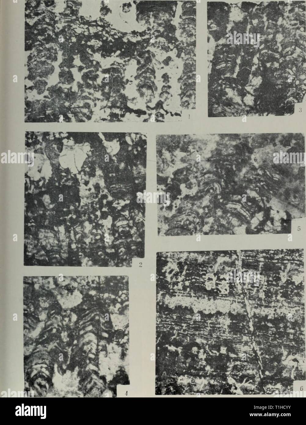 Guo yi hi-res stock photography and images - Alamy