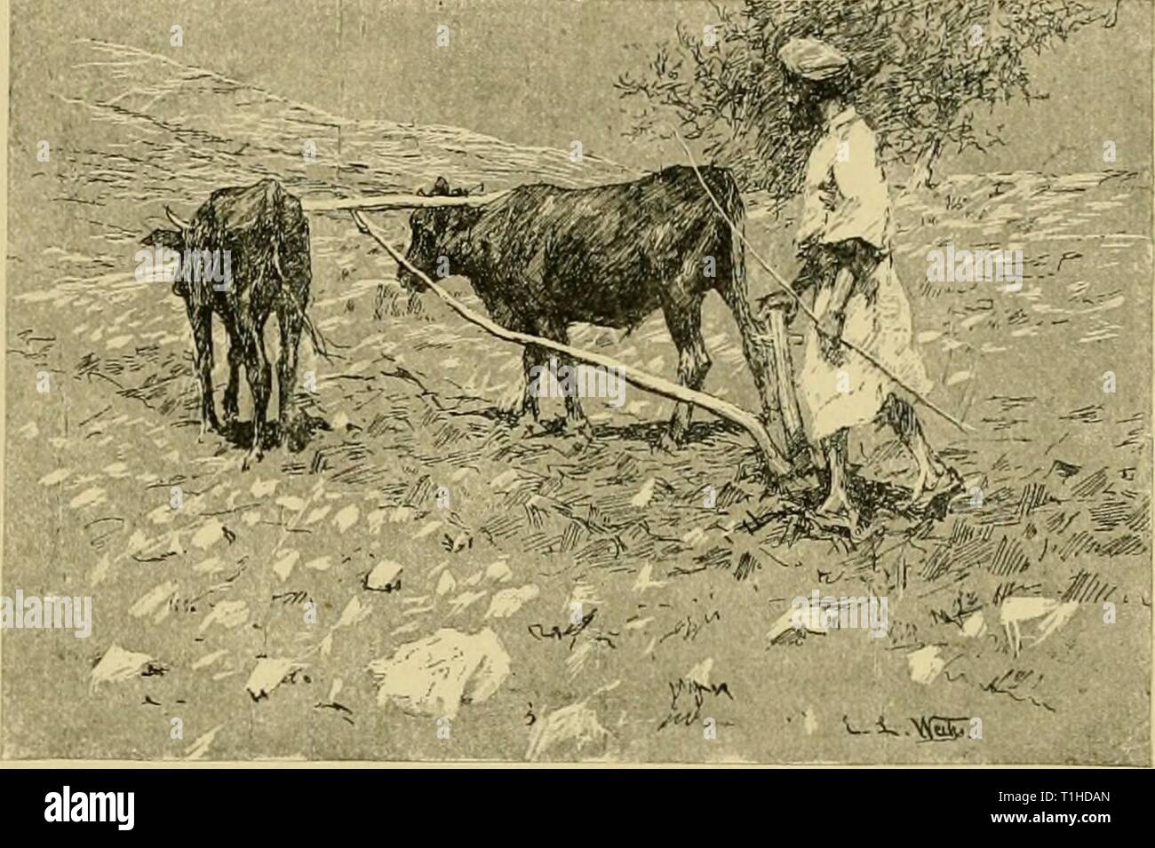 Domesticated animals their relation Stock Photo - Alamy