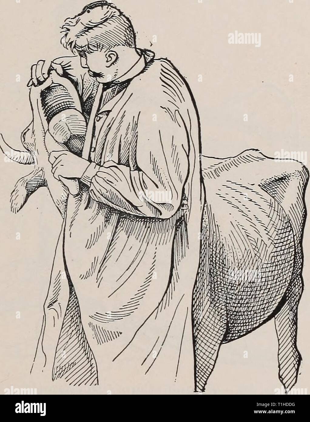 Diseases of cattle, sheep, goats Diseases of cattle, sheep, goats and ...