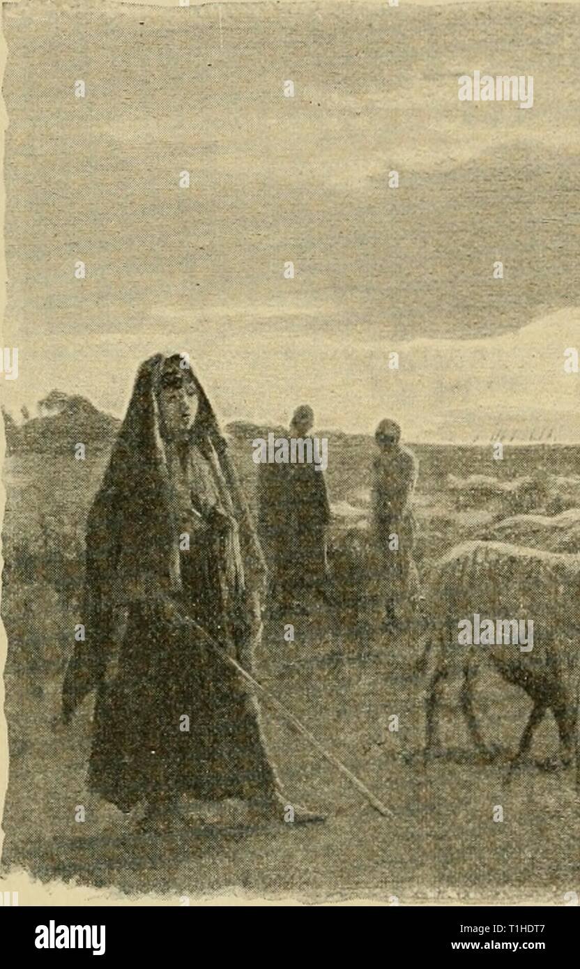 Domesticated animals, their relation to Stock Photo - Alamy