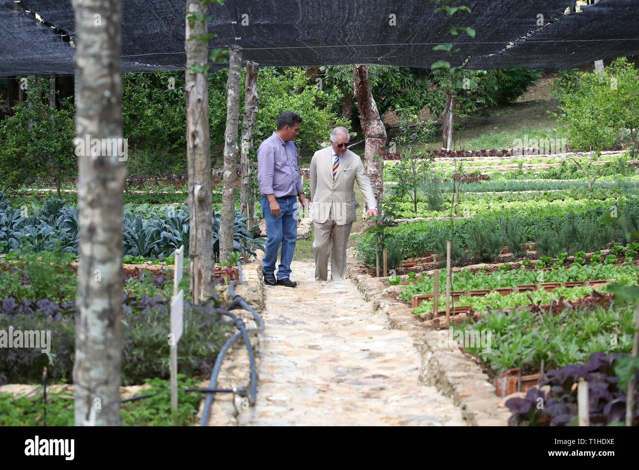 The Prince of Wales during a visit to the Finca Marta organic farm in ...