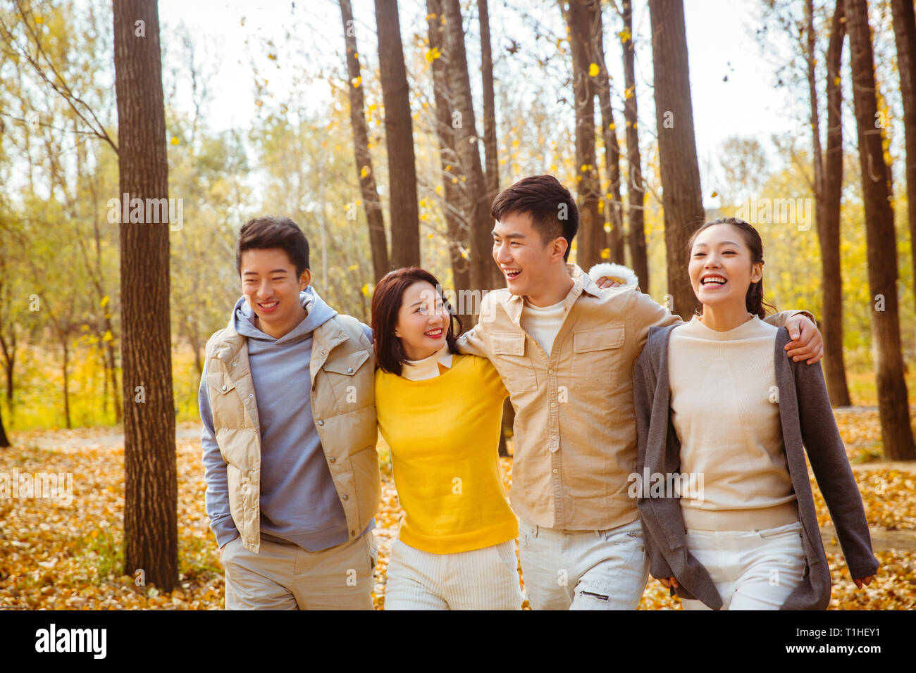 Young men and women in the outdoor outing Stock Photo - Alamy