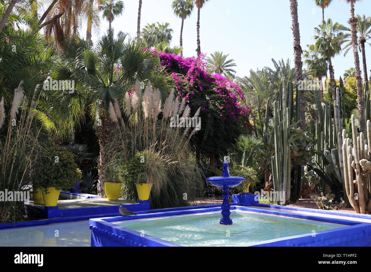 Fountain and pool at Majorelle Garden, Rue Yves Saint Laurent, Gueliz ...