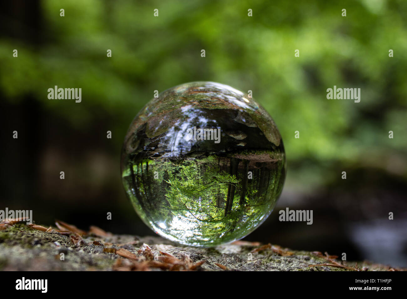 Crystal ball glass hi-res stock photography and images - Alamy
