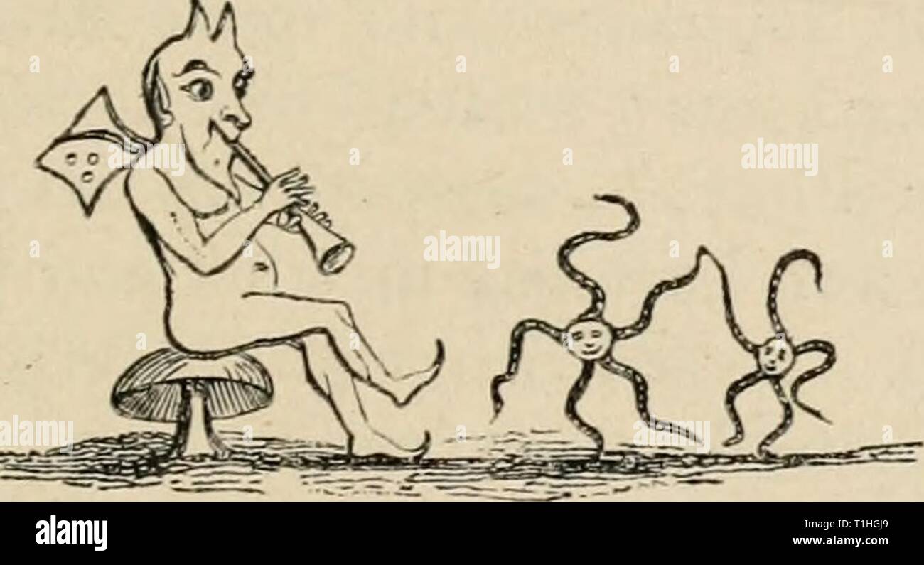 Diversions of a naturalist ([1915]) Diversions of a naturalist ...