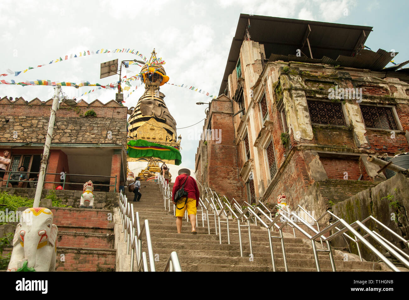 Monkey stairs hi-res stock photography and images - Alamy