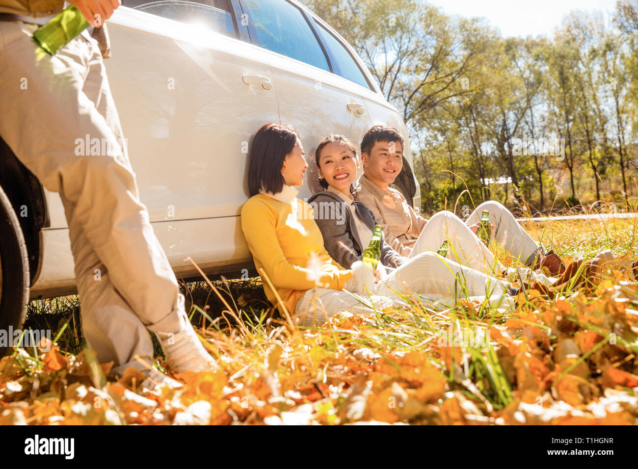 Young men and women in the outdoor outing Stock Photo - Alamy
