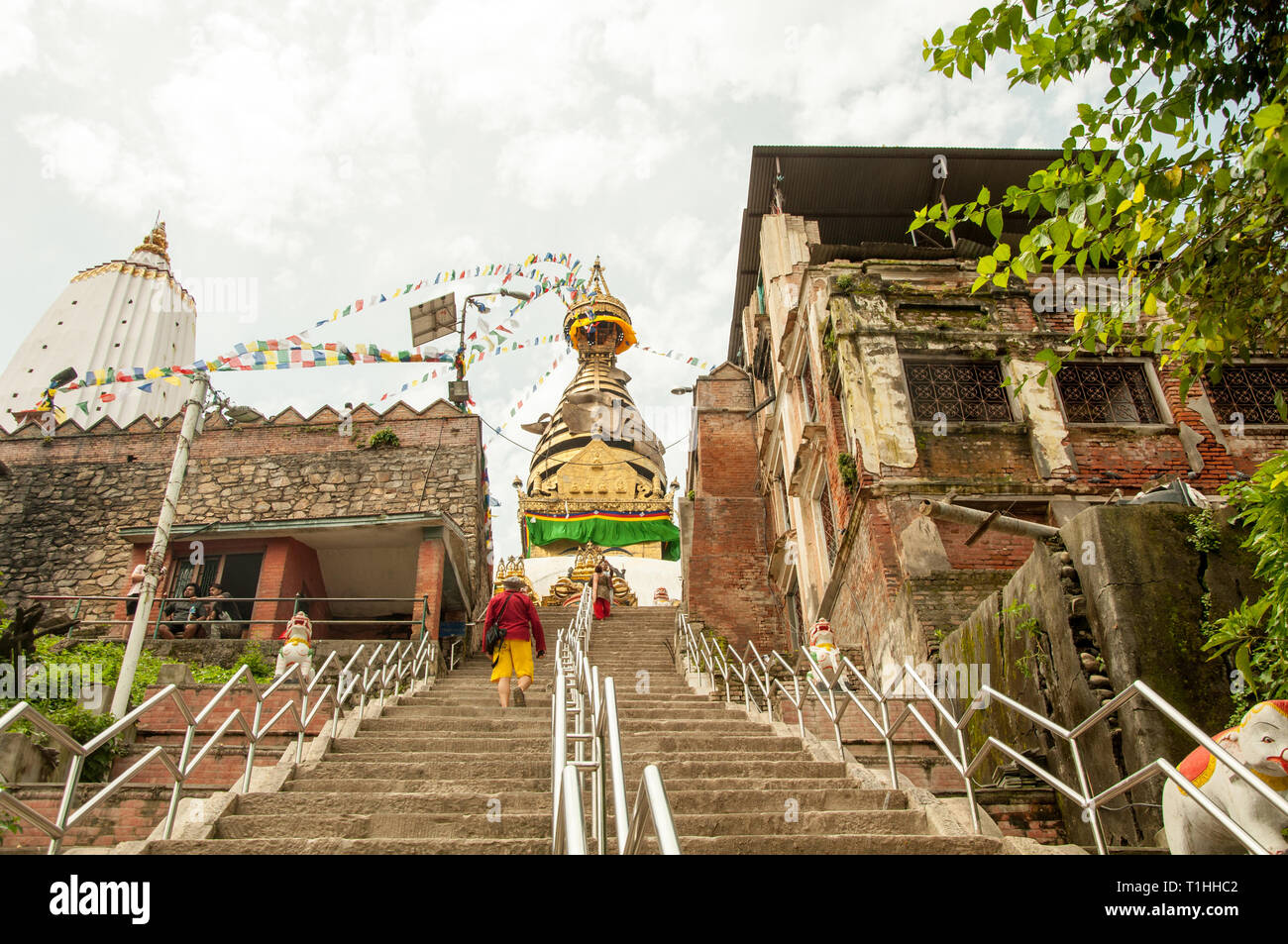Climb the stairs to Monkey temple Kathmandu Stock Photo - Alamy