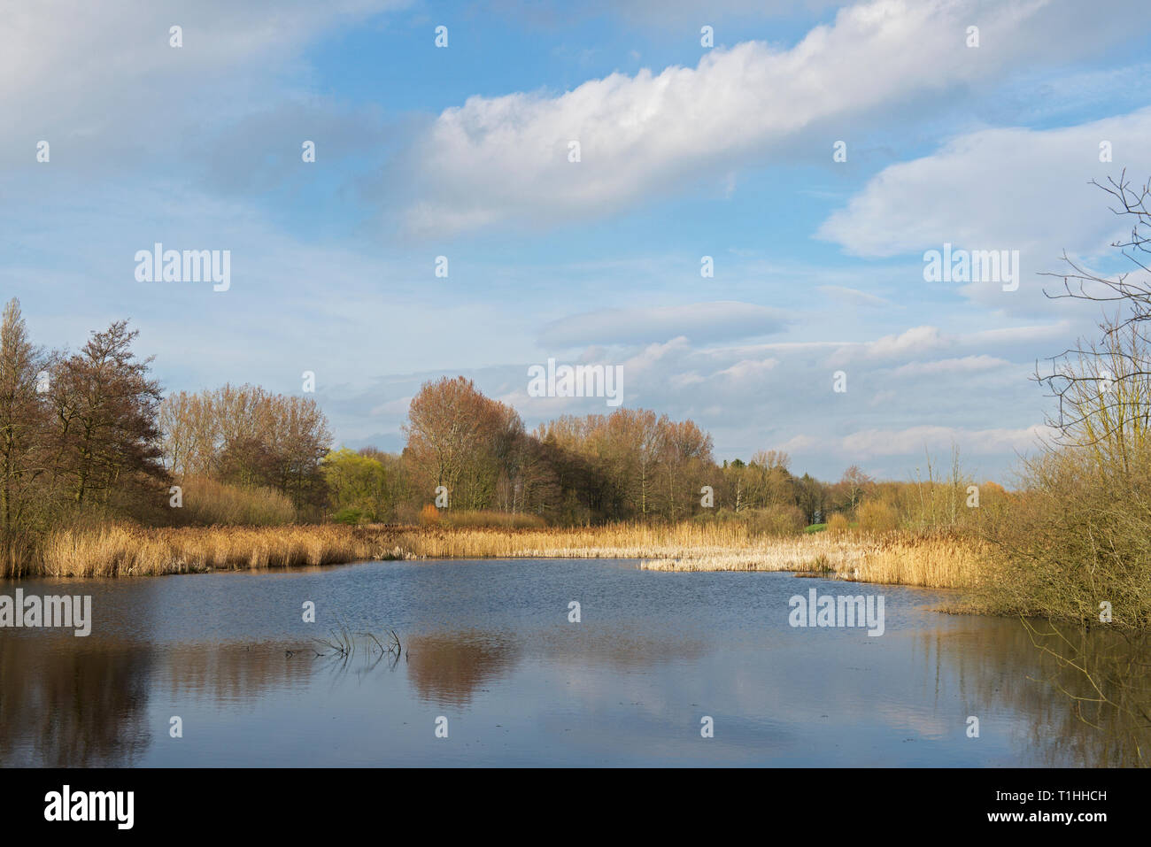 Tophill Low nature reserve, East Yorkshire, England UK Stock Photo - Alamy