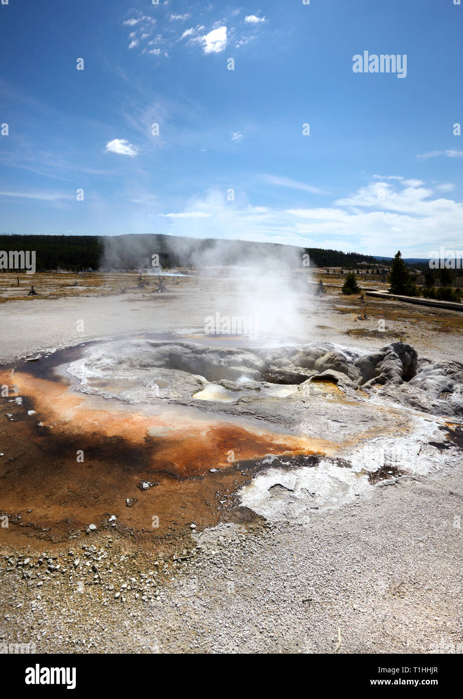 Hot Spring, Yellowstone National Park, America Stock Photo - Alamy
