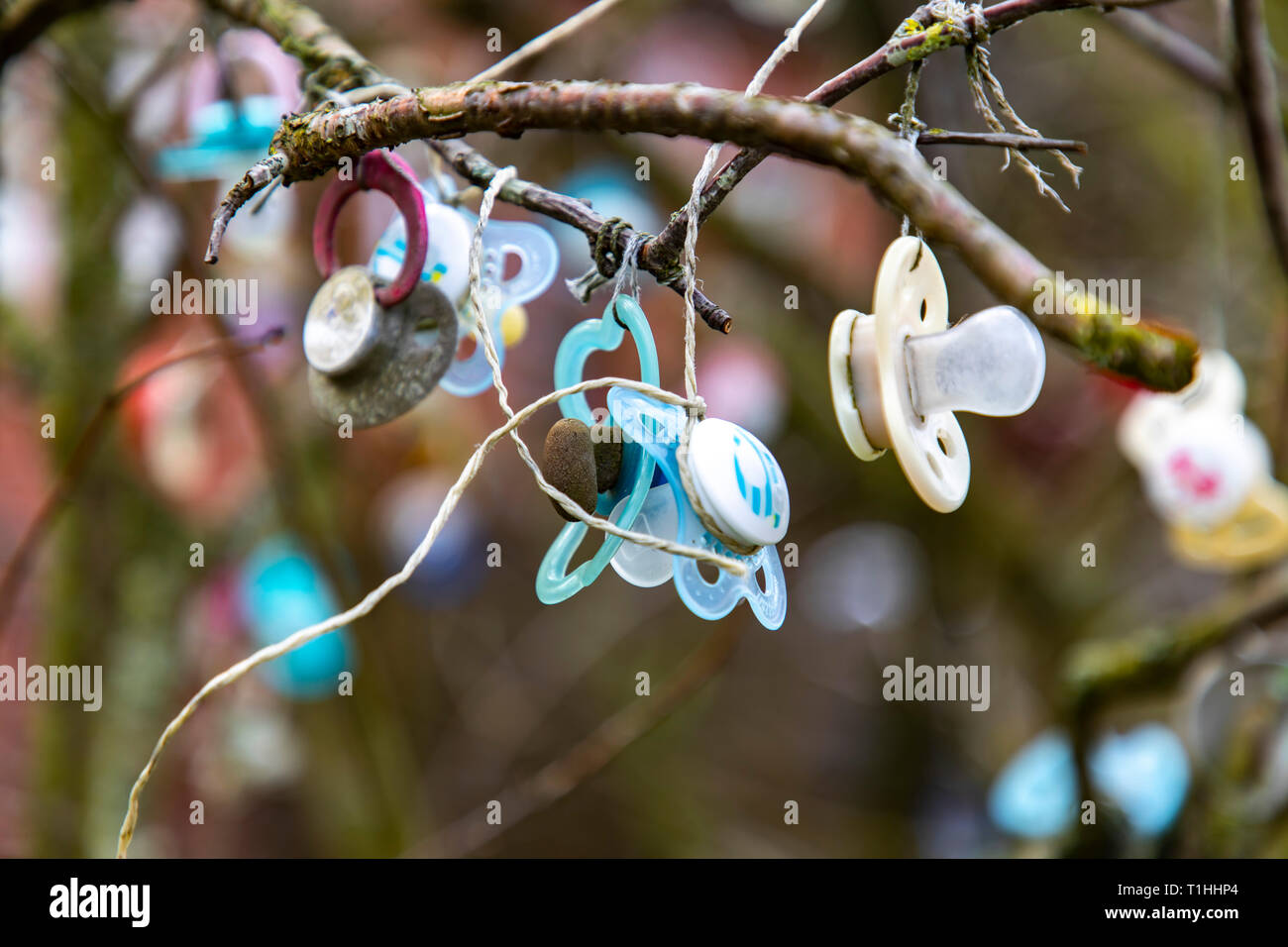 Families family tree hi-res stock photography and images - Alamy