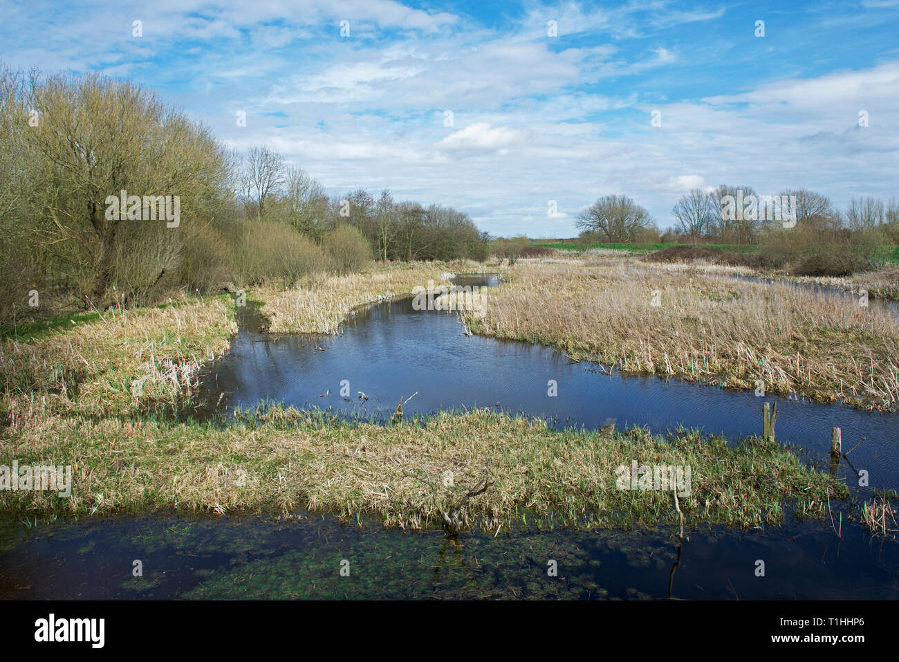 Tophill Low nature reserve, East Yorkshire, England UK Stock Photo - Alamy