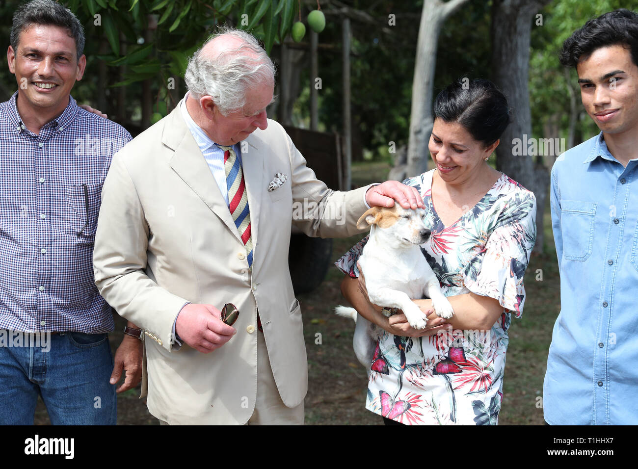 The Prince of Wales strokes a dog during a visit to the Finca Marta ...