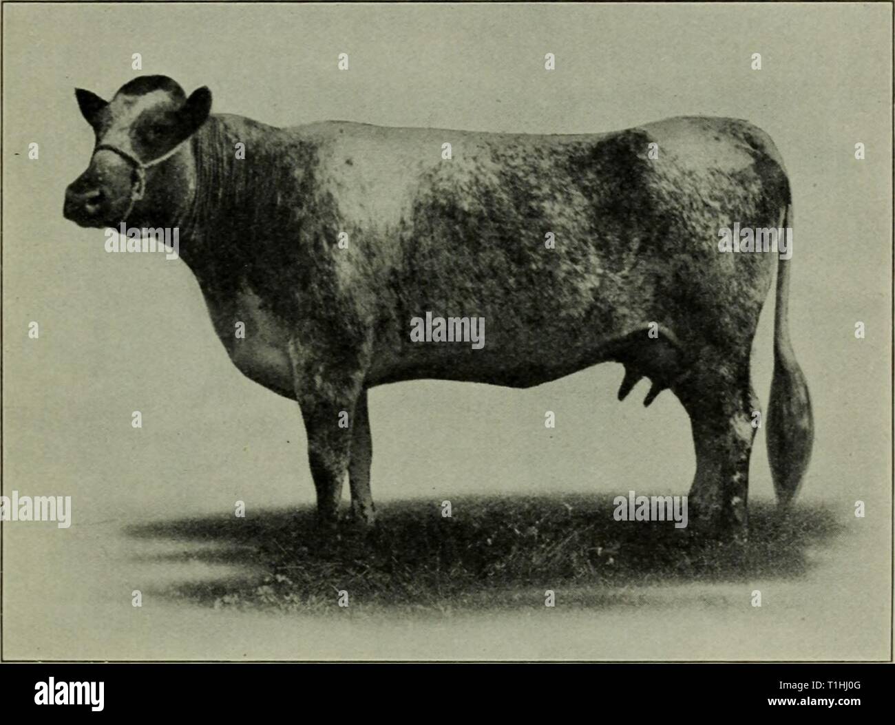 Nomical hi-res stock photography and images - Alamy