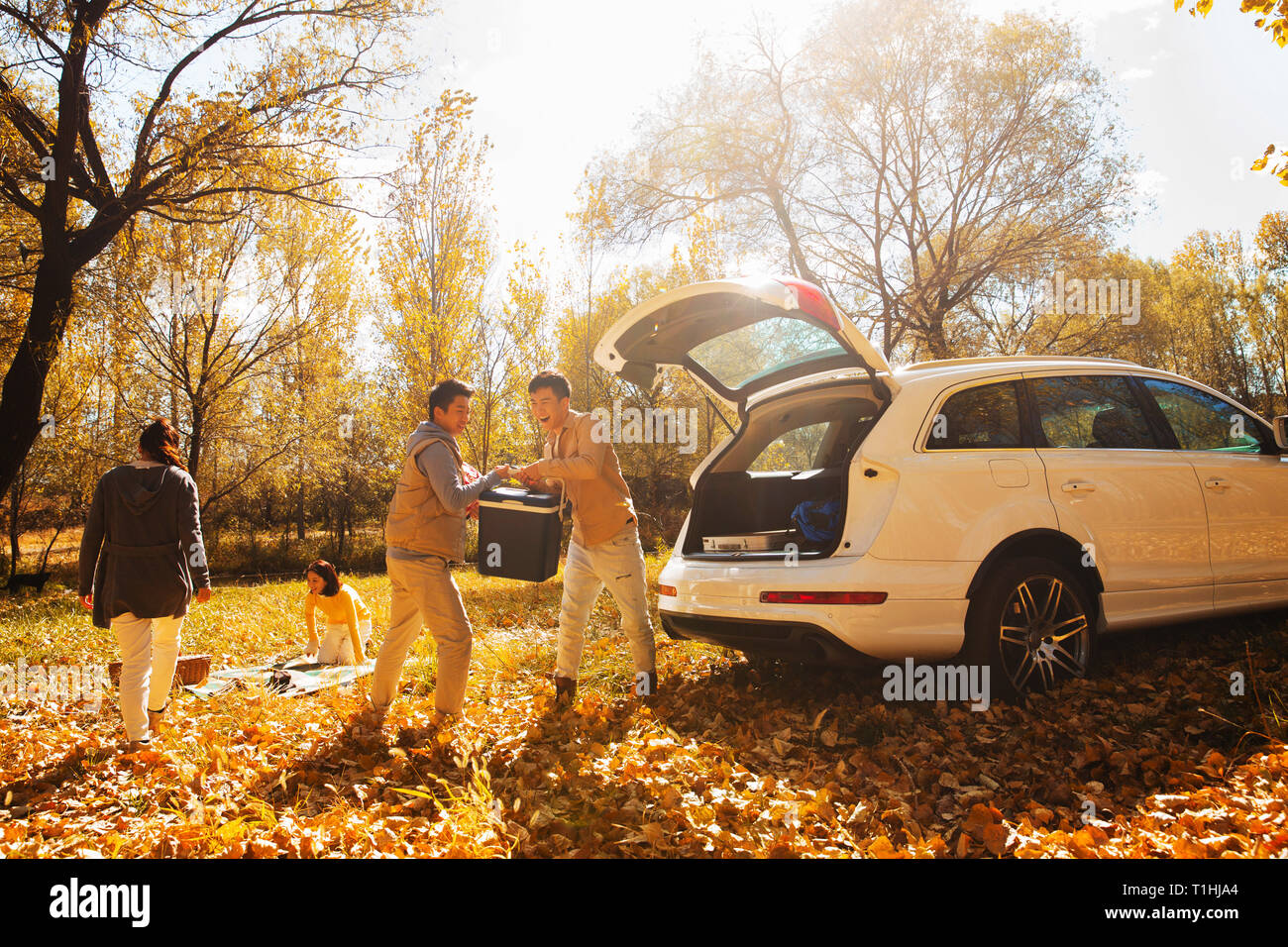 Young men and women outdoor outing Stock Photo - Alamy