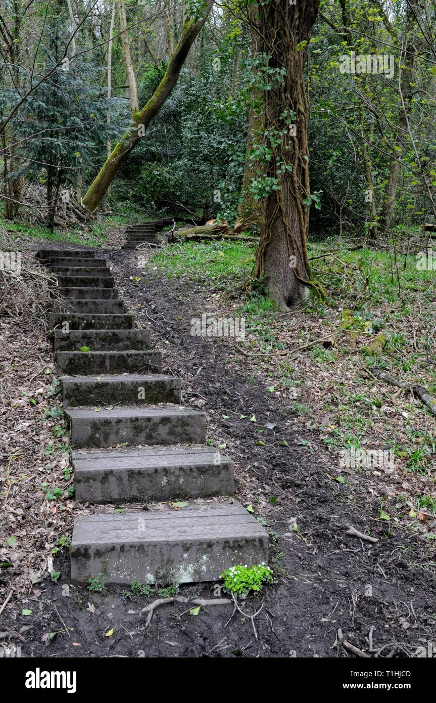 Severn gorge countryside trust hi-res stock photography and images - Alamy