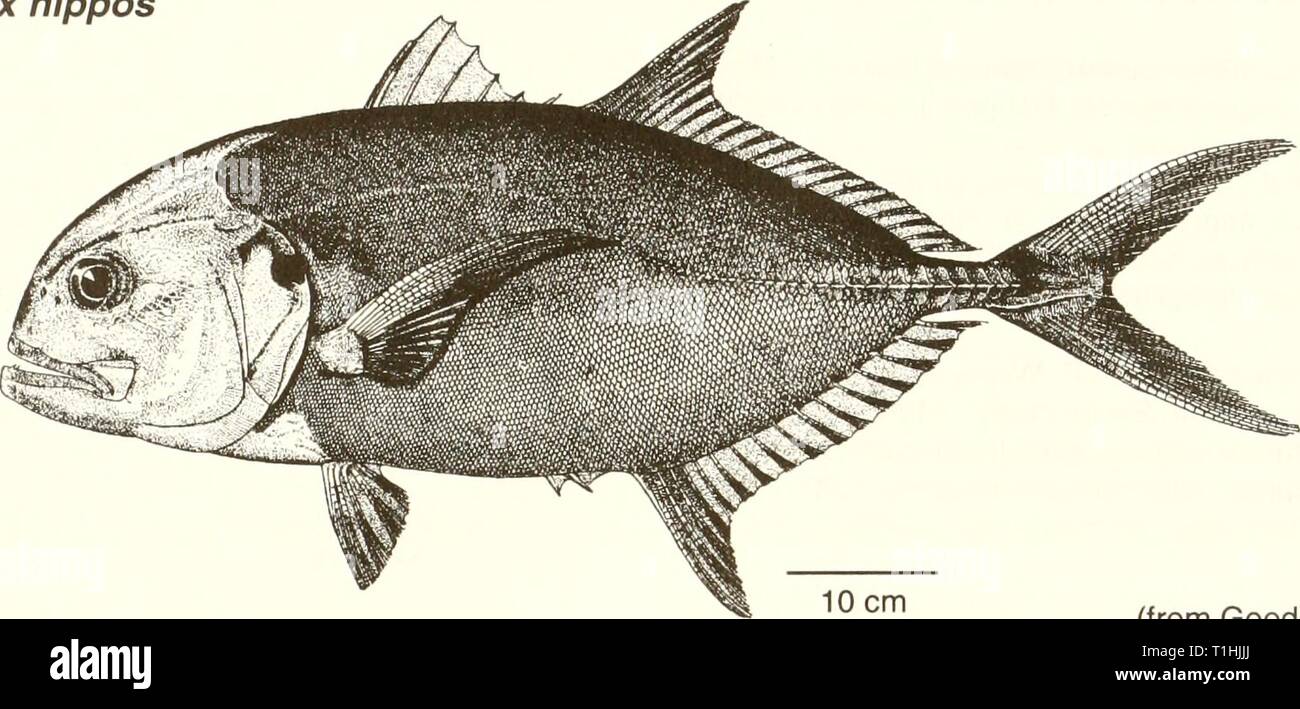 Distribution and abundance of fishes Stock Photo - Alamy