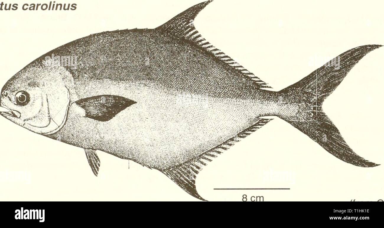 Distribution and abundance of fishes Stock Photo - Alamy