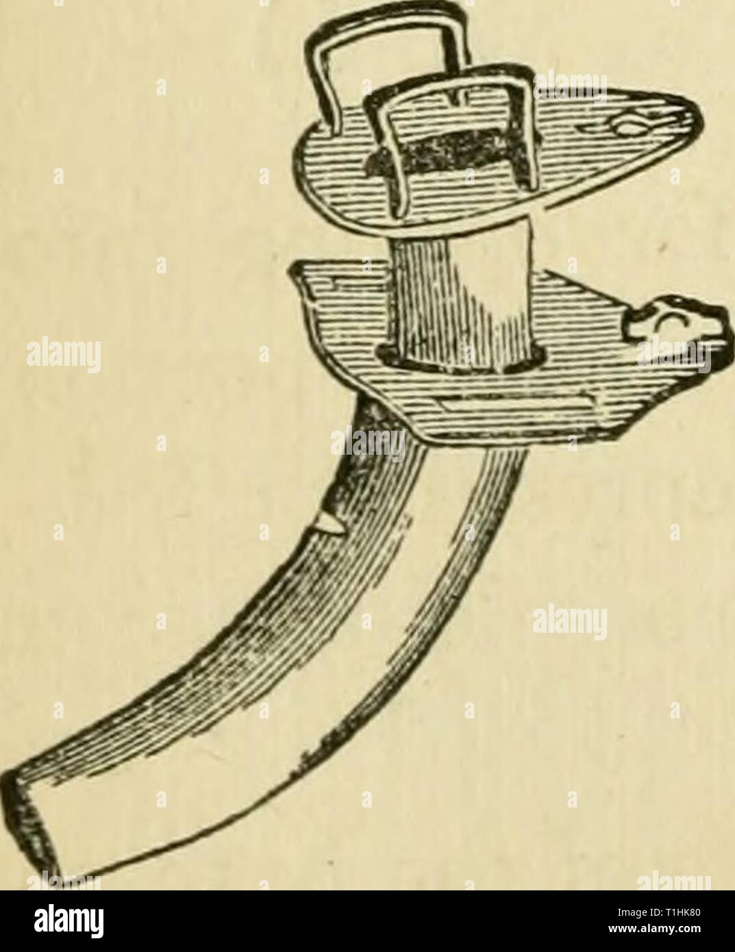 Bog spavin horse hi-res stock photography and images - Alamy