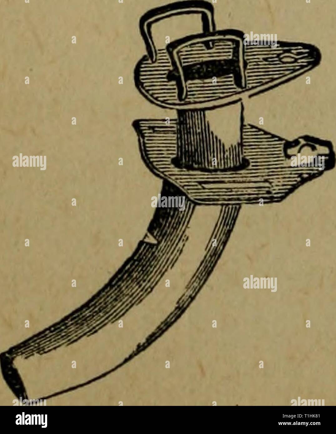 Bog spavin horse hi-res stock photography and images - Alamy