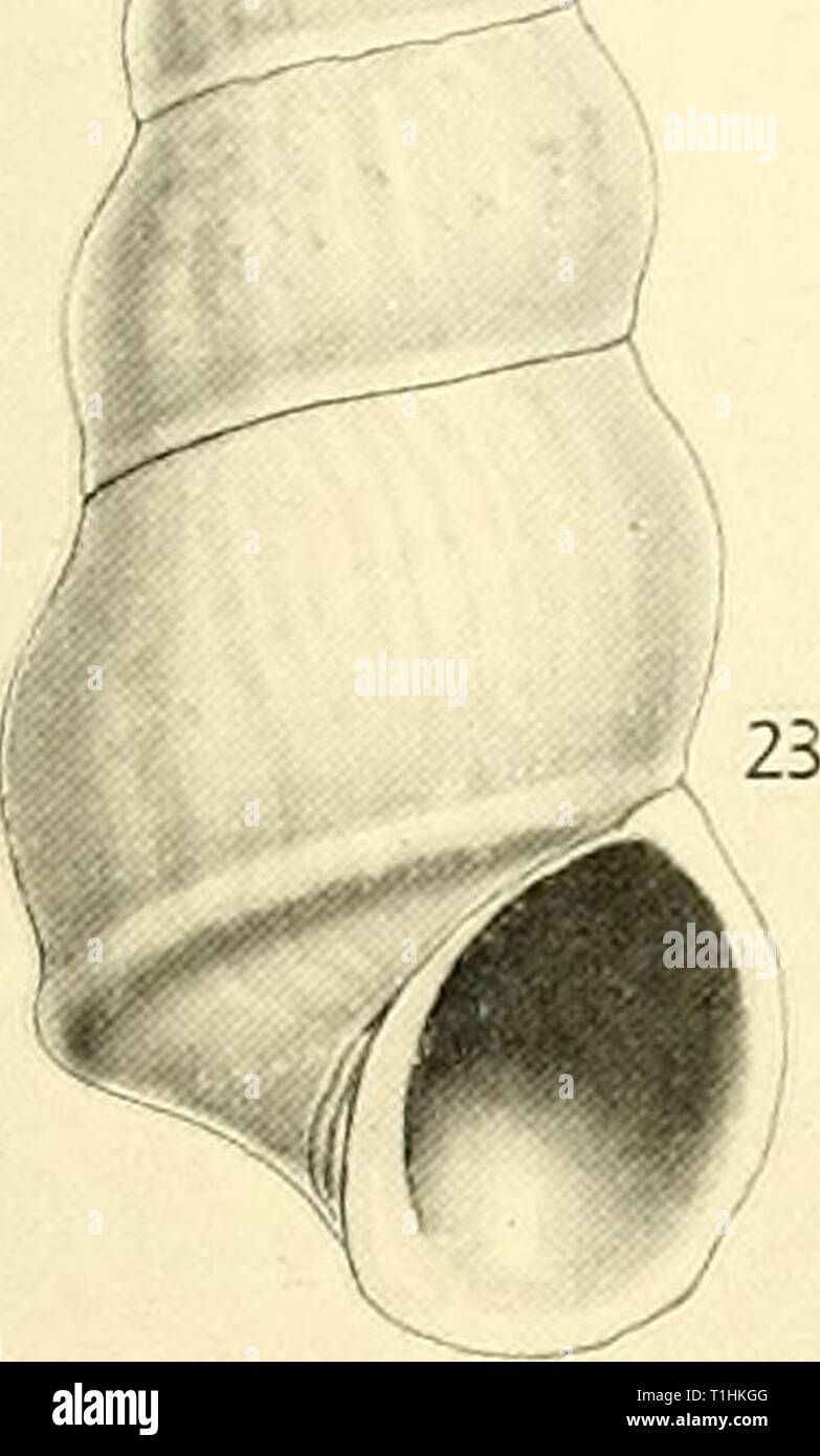 Discovery reports (1954) Discovery reports discoveryreports26inst Year ... Discovery reports (1954) Discovery reports discoveryreports26inst Year ...
