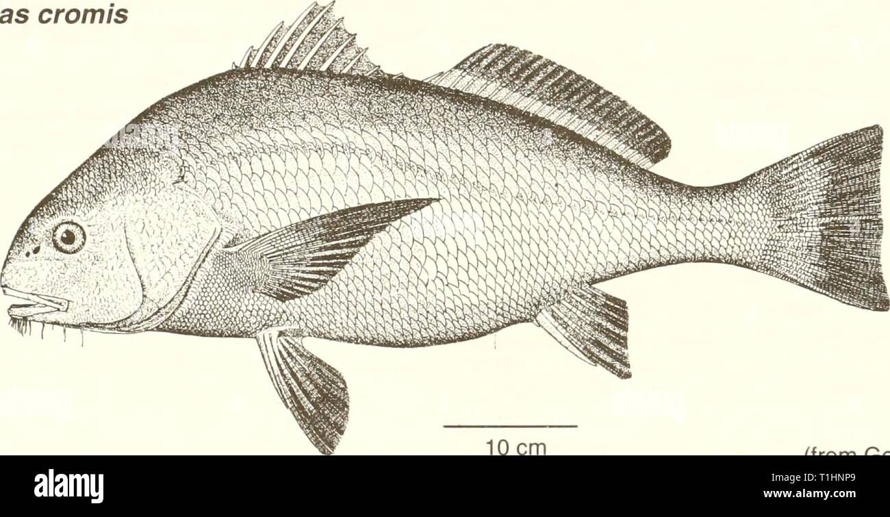 Distribution and abundance of fishes Stock Photo - Alamy