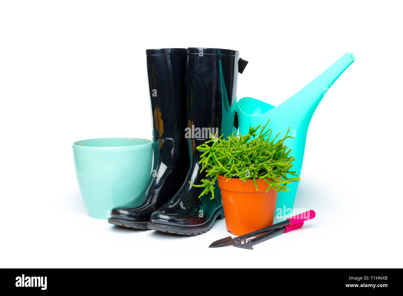 Basket gardening tools flower Cut Out Stock Images & Pictures - Alamy