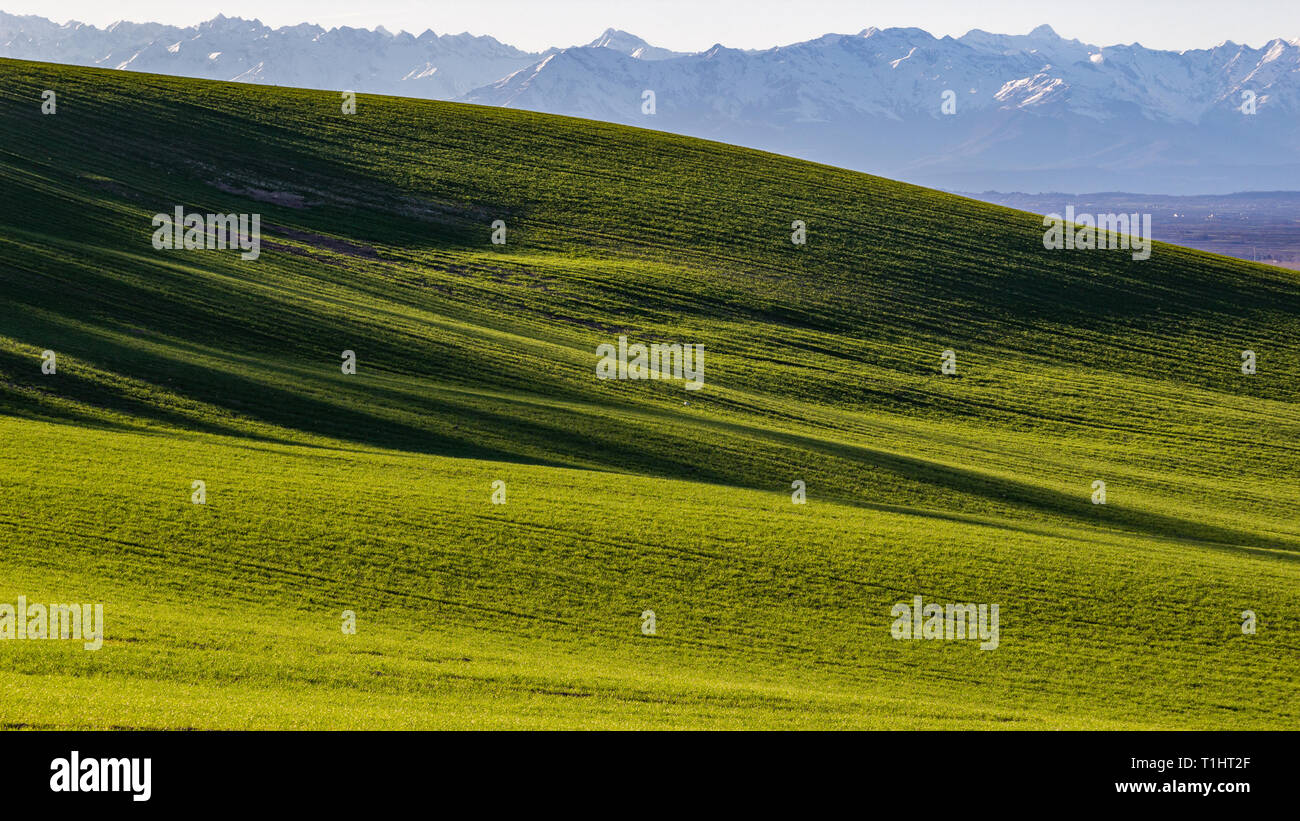 Pattern of fields in the hills in spring with mountains as background ...